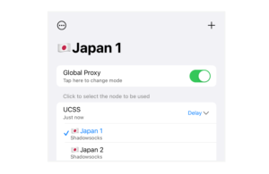 Loon Lite 설정 방법 - UCSS